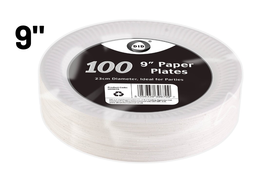 100 paper plates store